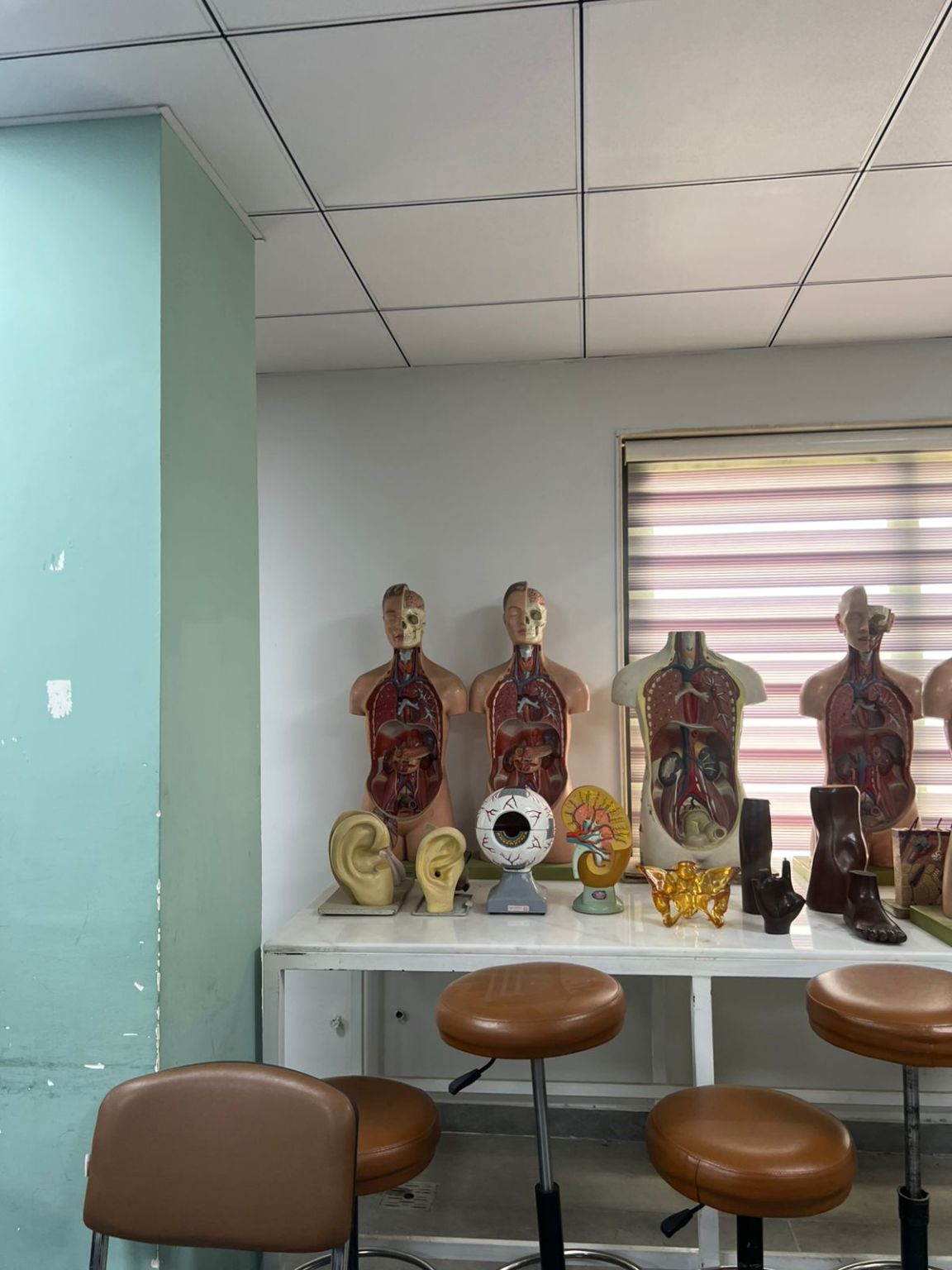 Scientific Trip to HMU/Medical Technical Radiology Department | MTR ...